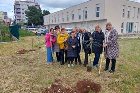 Pula - najnovije vijesti, izvještaje i reportaže iz Pule i okolice ...